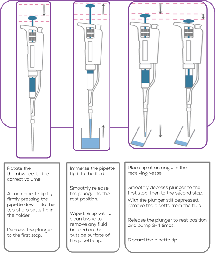 Pipetting Techniques